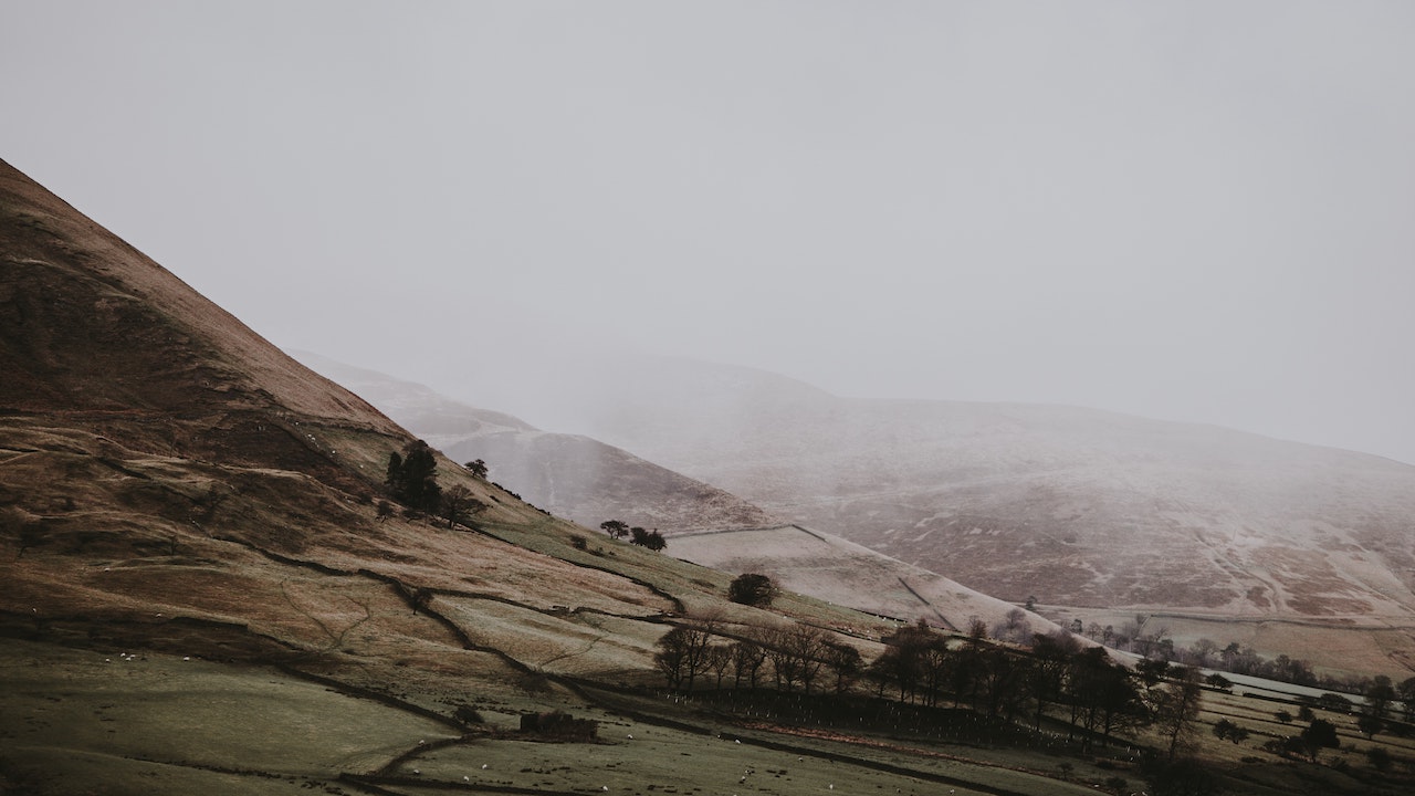 The Puritans' Passion for Doctrinal Purity