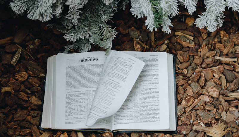 The Privilege of Knowing the Perfect Priest